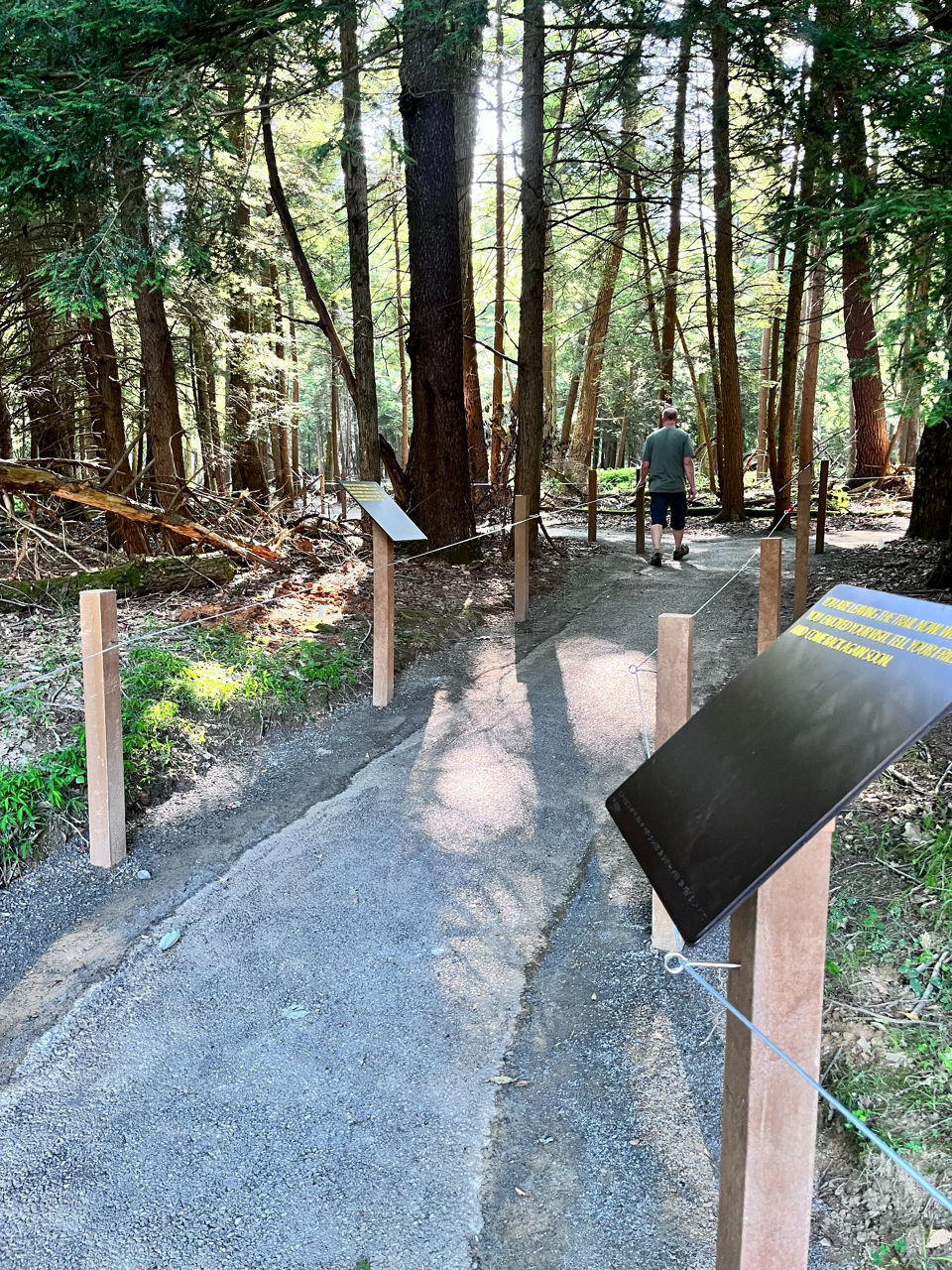 Accessibility Department Of Conservation And Natural Resources